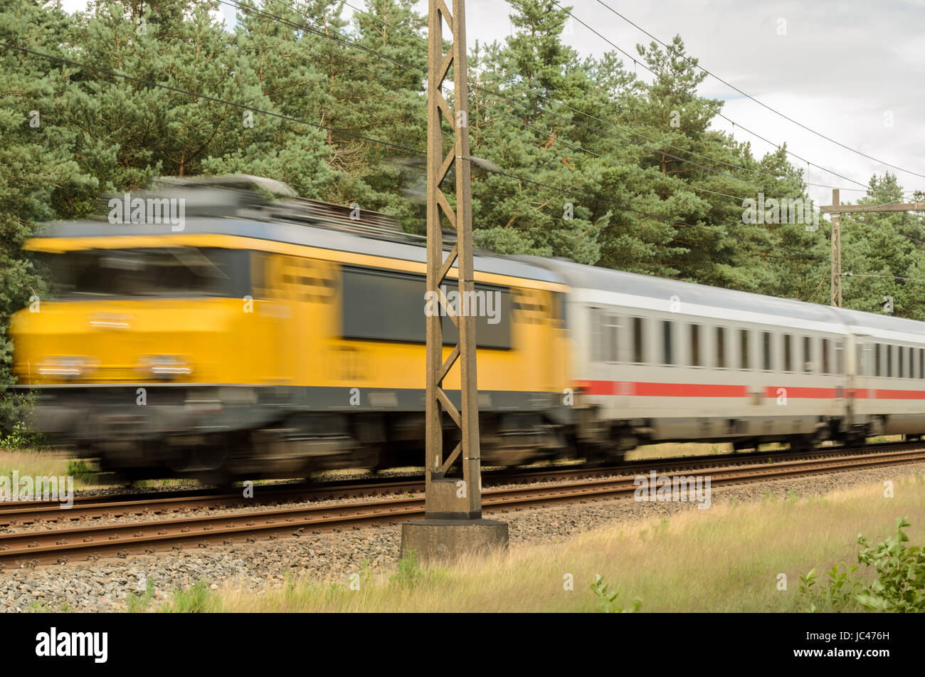 Railway through forest hi-res stock photography and images - Alamy