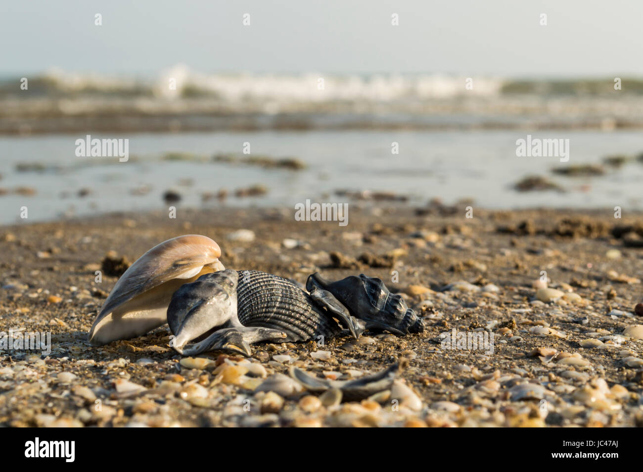 marine salt water Stock Photo - Alamy