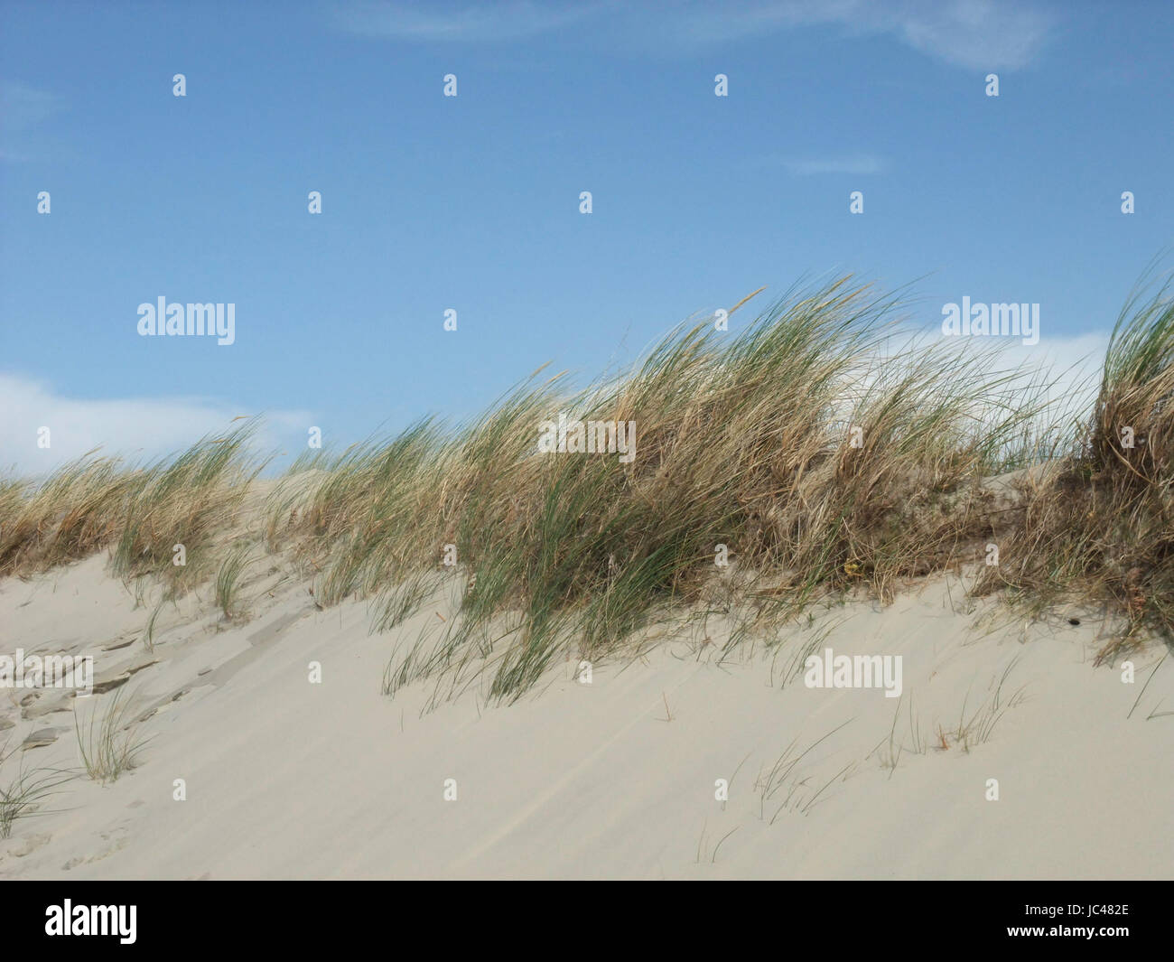 salt water sea Stock Photo - Alamy