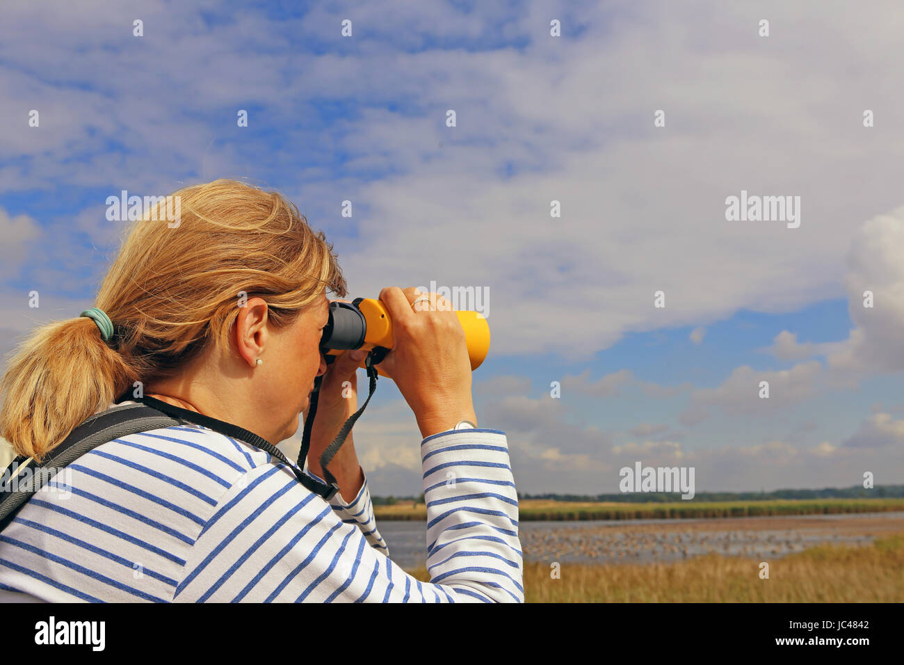 Bestandserfassung hi-res stock photography and images - Alamy