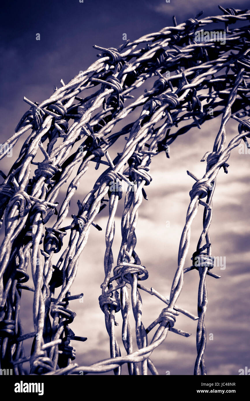 a coil of dangerous barbed wire with a blue cloudy sky background in ...