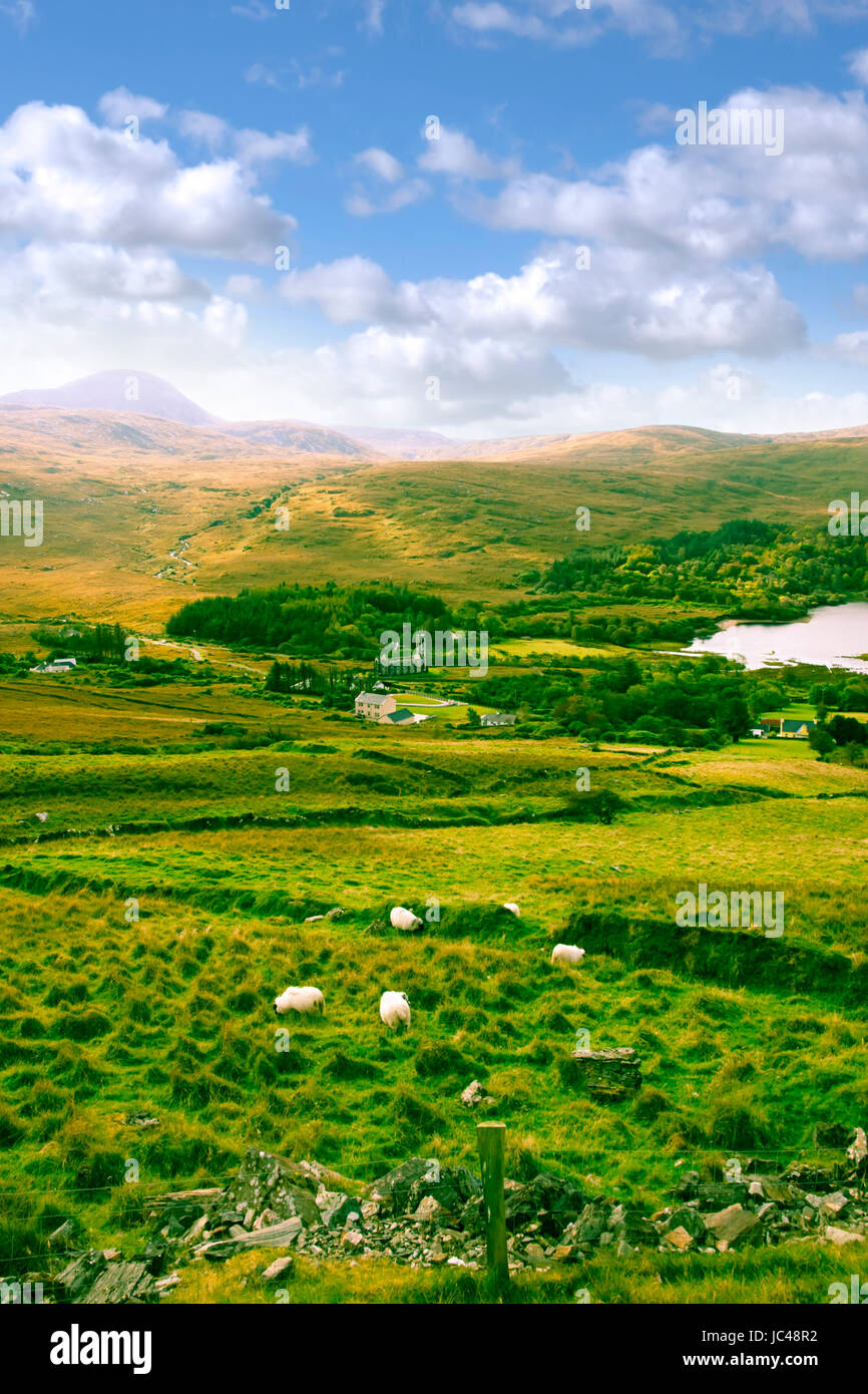 old Dunlewy church in the beautiful Donegal countryside in Ireland ...