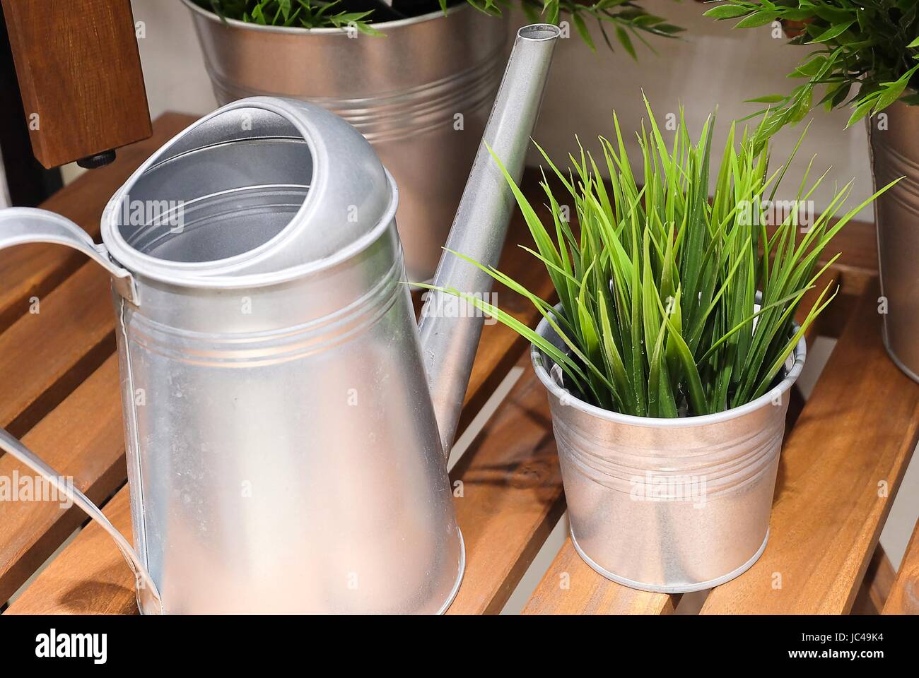 Watering Can or Watering Pot with Green Plants, Watering Can Used to ...