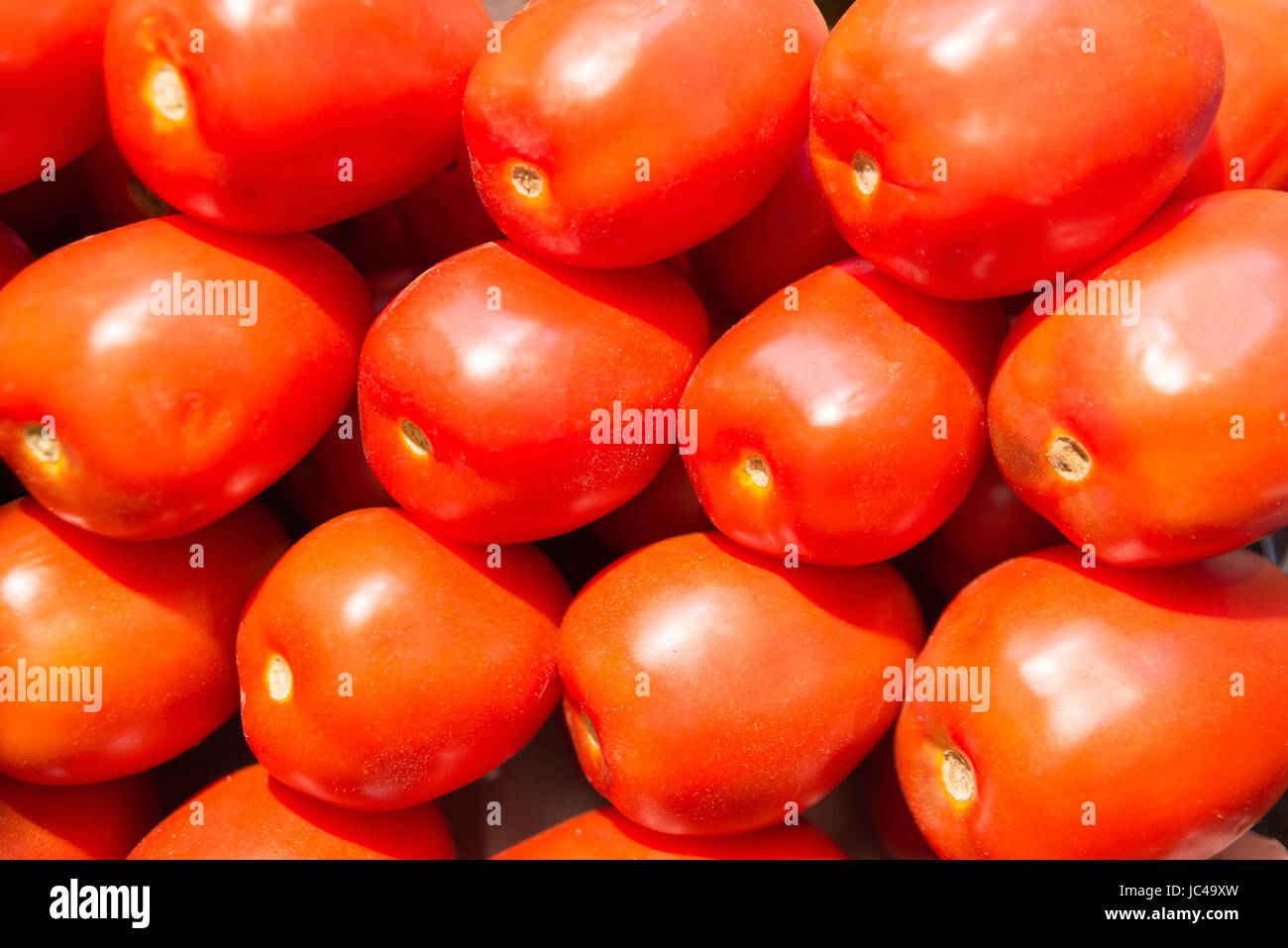 Red row ripe tomatoes hi-res stock photography and images - Alamy