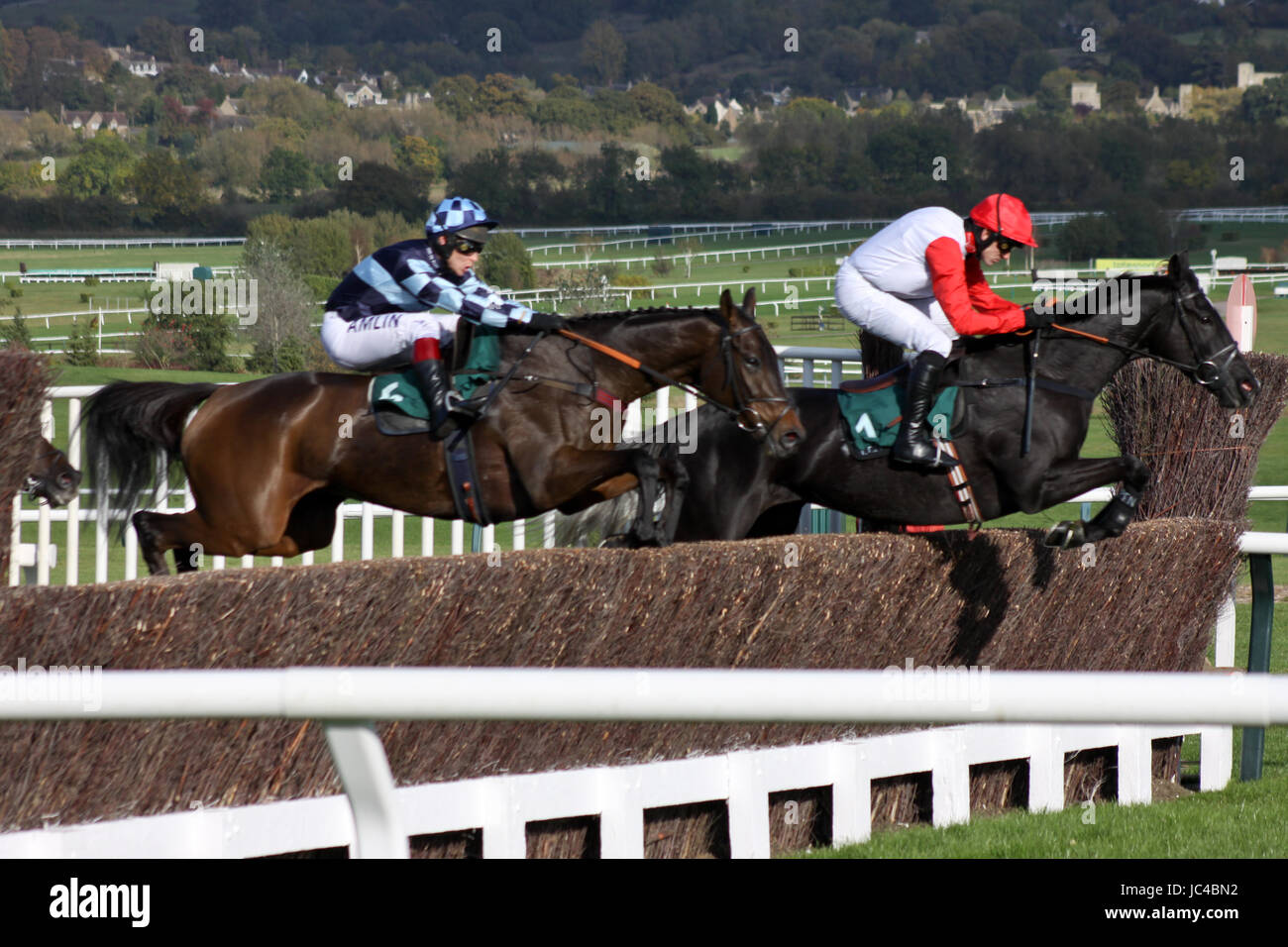Jump jockeys racing at Cheltenham Stock Photo - Alamy