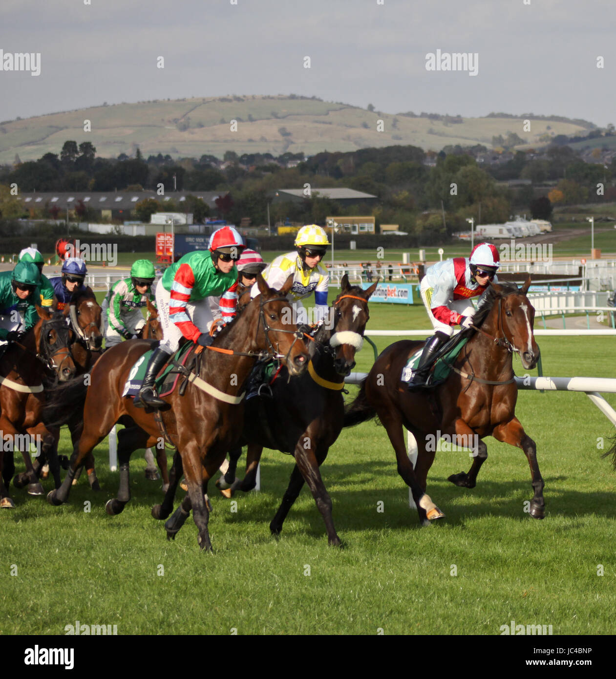 At cheltenham racecourse hi-res stock photography and images - Alamy