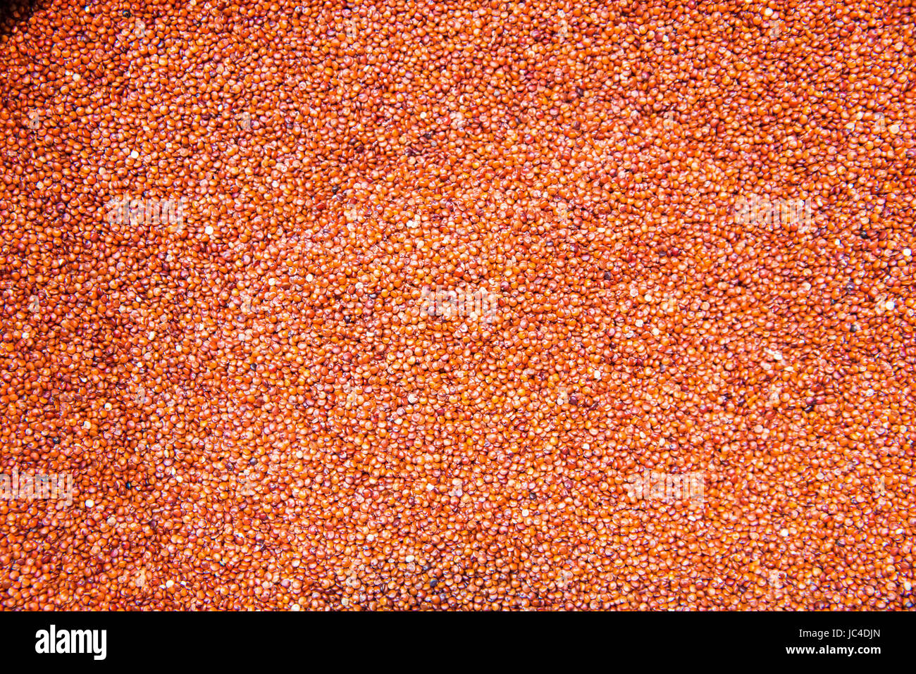 close up view of organic red quinoa. Red quinoa background or texture ...