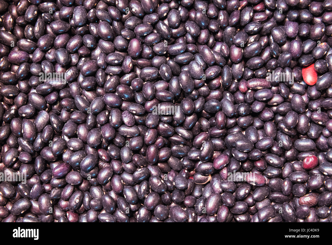 Tolosana beans. Beans background. Natural organic beans Stock Photo - Alamy