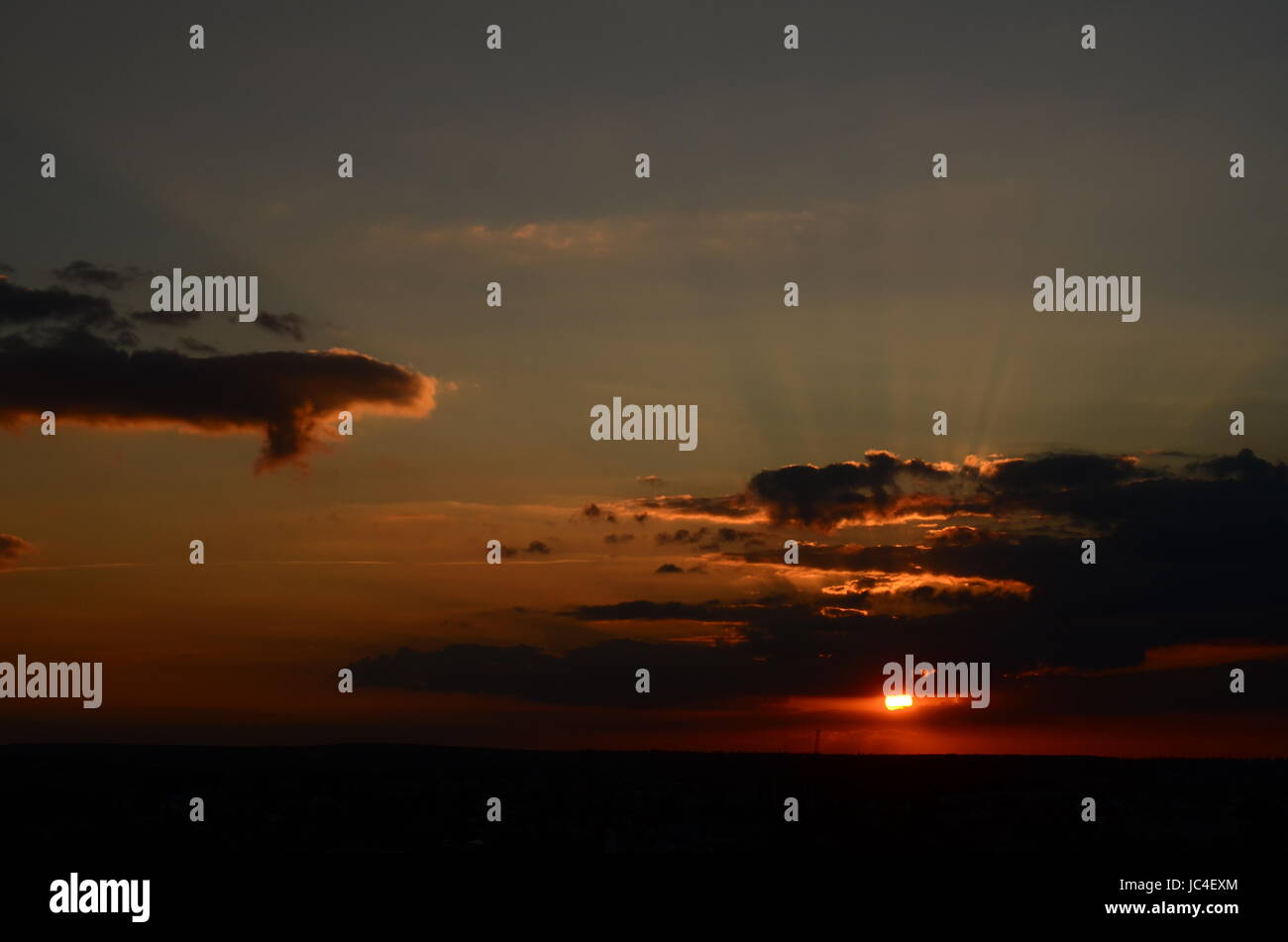 Sunsettrees hi-res stock photography and images - Alamy