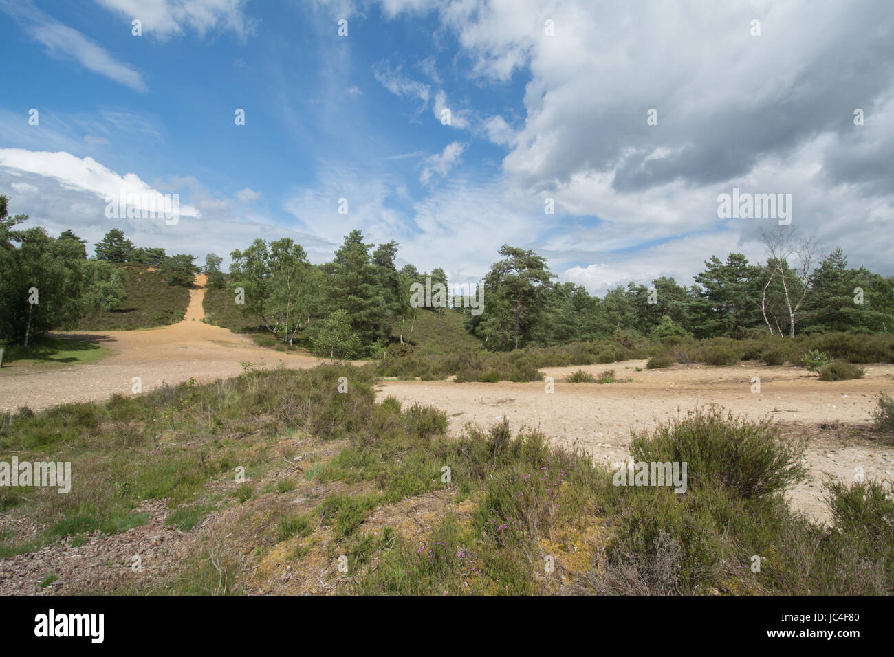 Hankley Common, Surrey, UK - open country landscape Stock Photo - Alamy