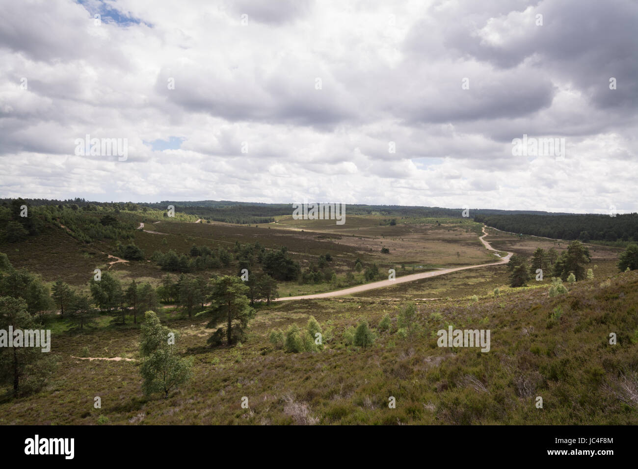 Hankley Common High Resolution Stock Photography and Images - Alamy