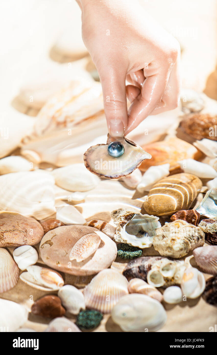 Picking up shell hi-res stock photography and images - Alamy