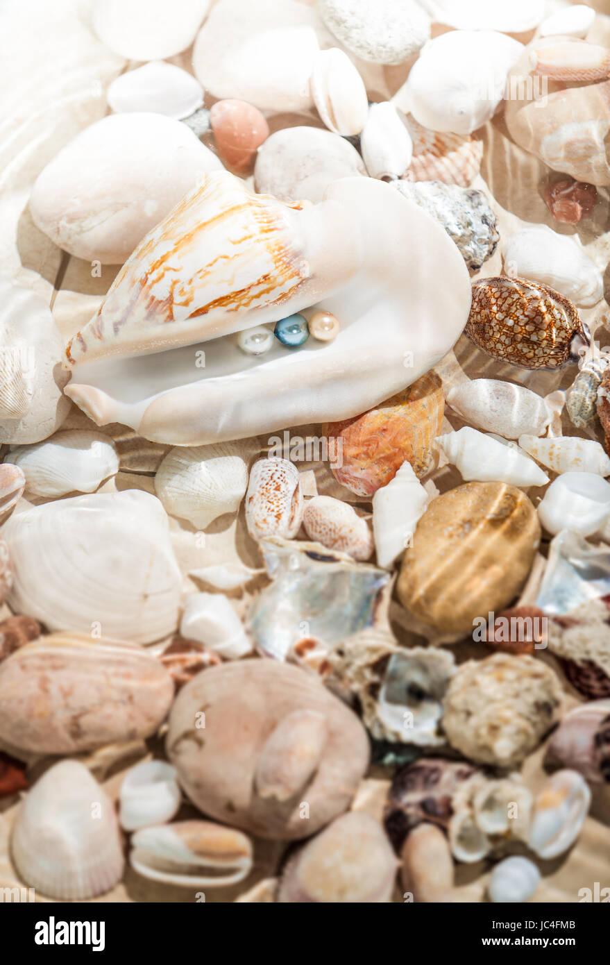 Underwater shot of colorful pearls lying in big seashell Stock Photo ...
