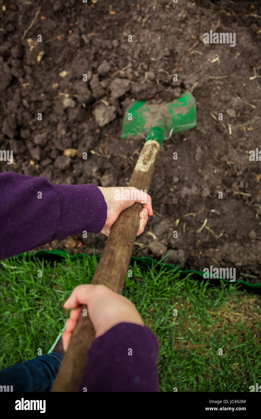 closeup photo of women hands digging soil with shovel Stock Photo - Alamy