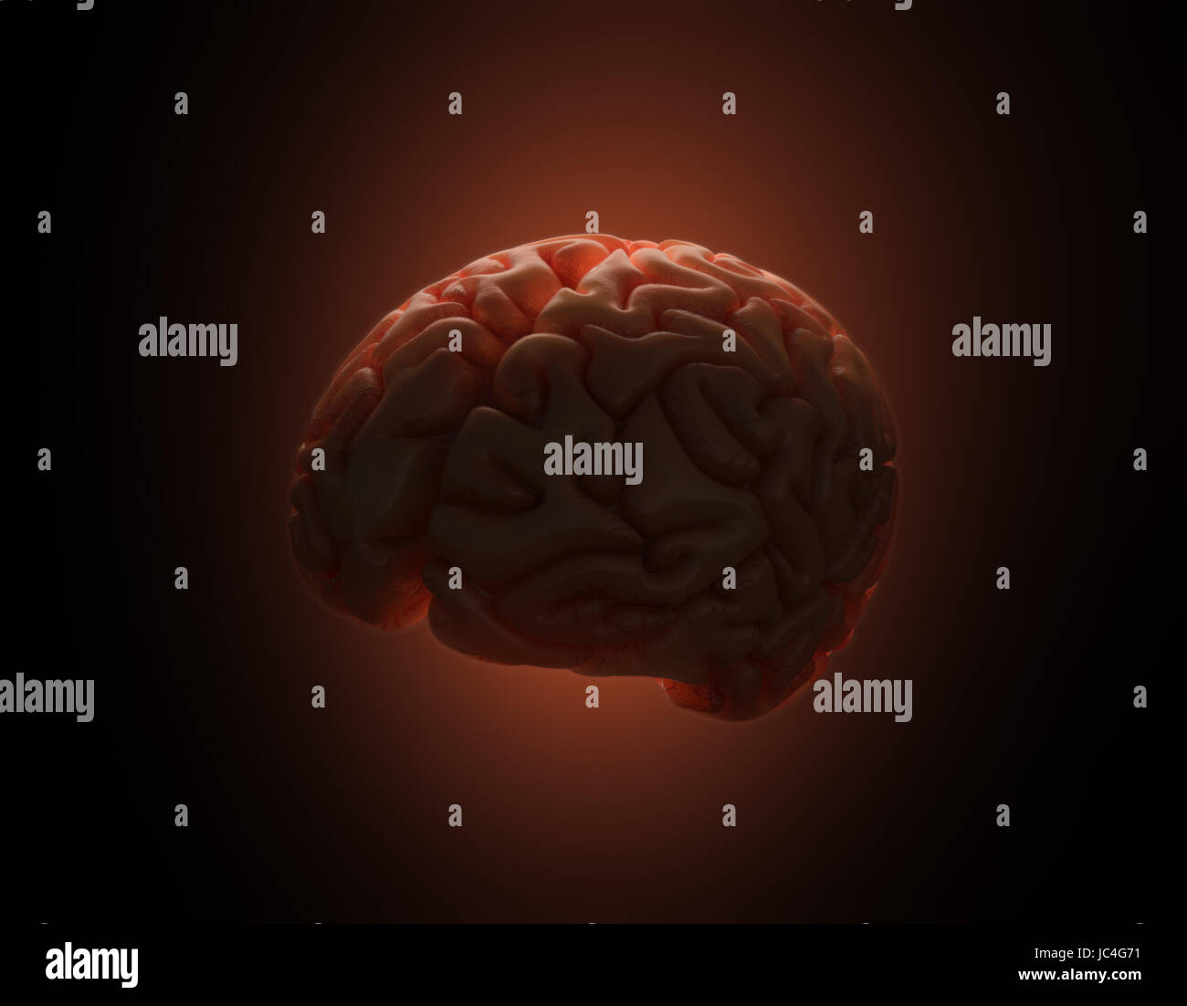 Brain being lit from behind in a dark environment. Clipping path ...
