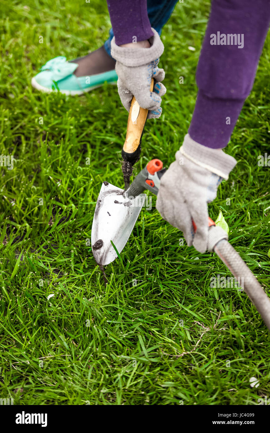 Closeup photo of woman cleaning small spade with water from hosepipe ...