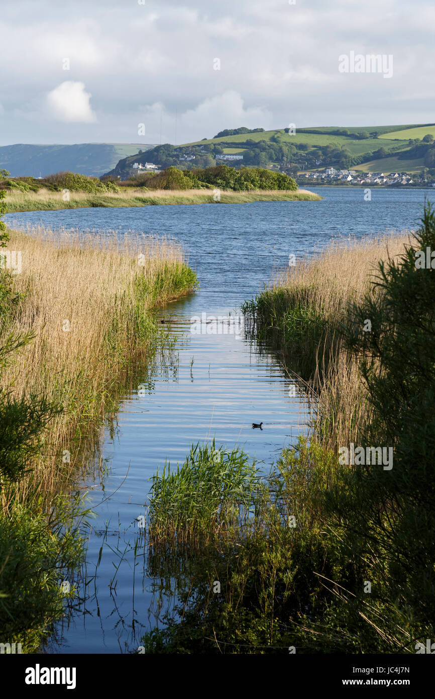 Slapton Ley nature reserve, near Torcross, Devon Stock Photo - Alamy