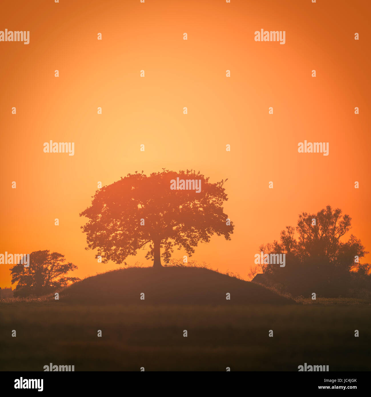 Beautiful farmland field old oaks hi-res stock photography and images ...