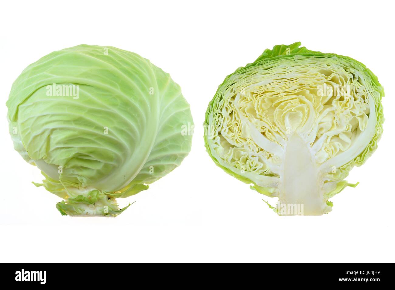 A close up shot of a garden cabbage Stock Photo - Alamy