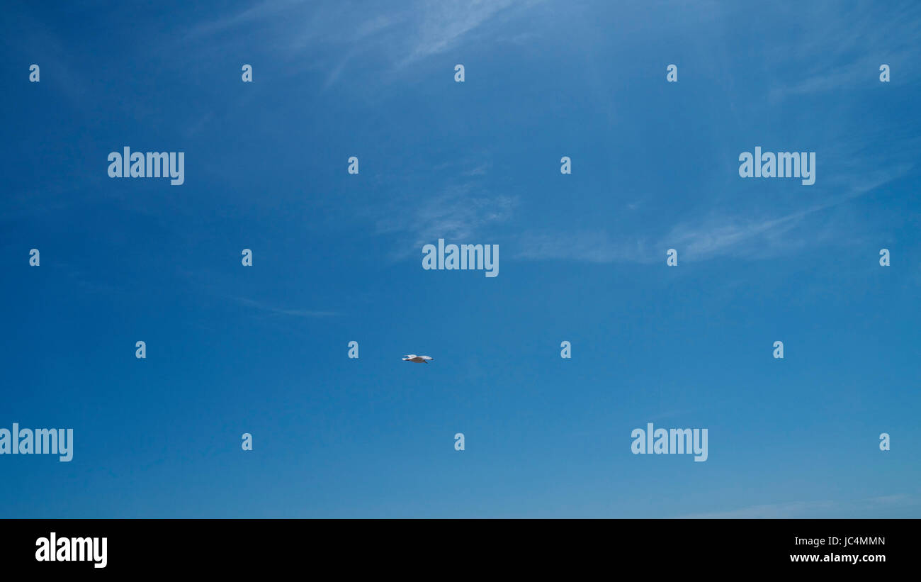 Summer midday sky hi-res stock photography and images - Alamy