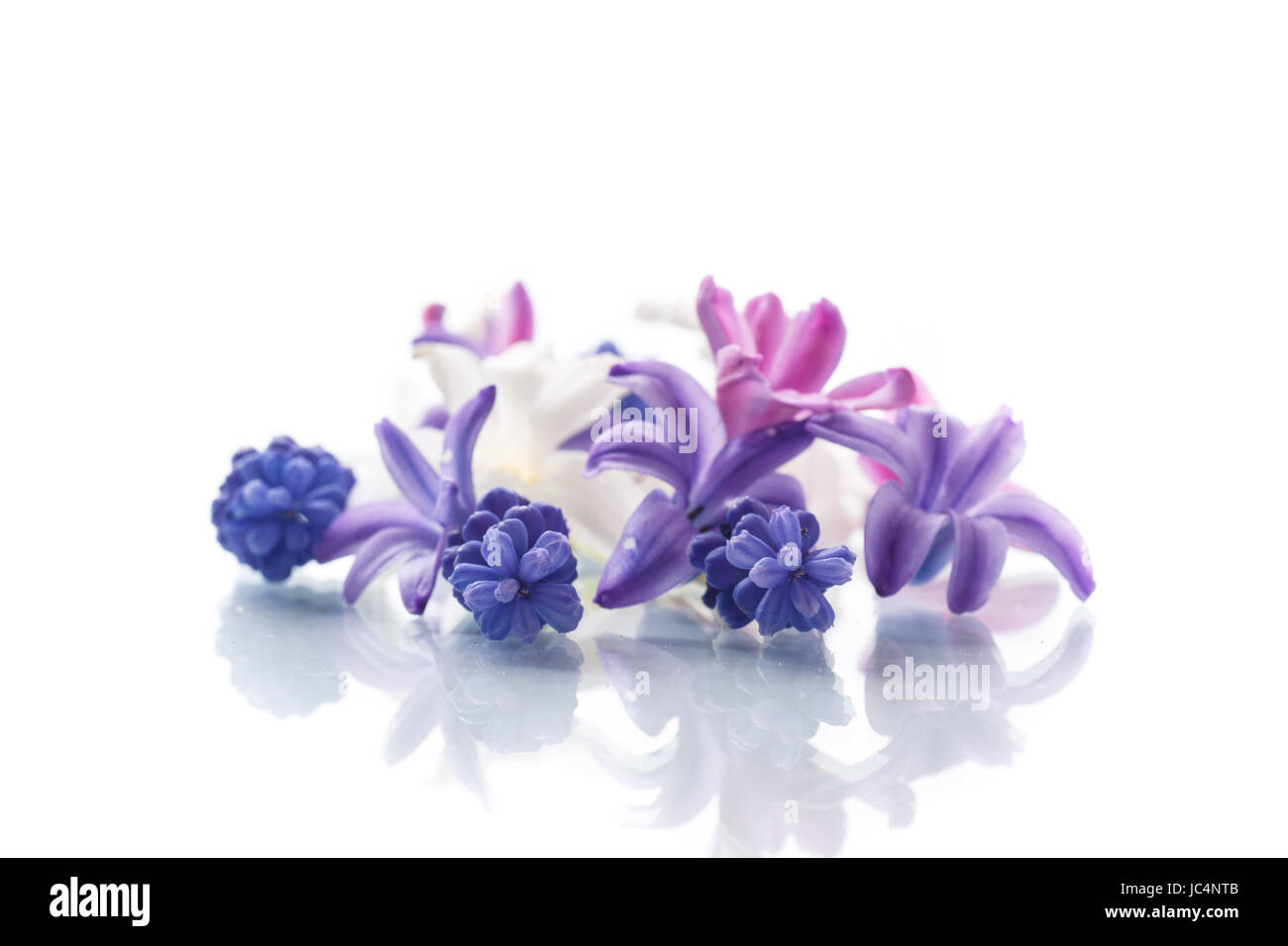 beautiful bouquet of spring flowers Stock Photo - Alamy