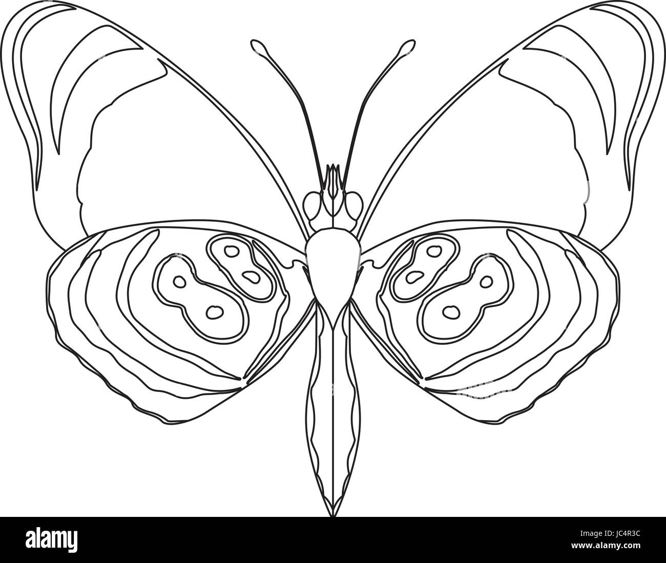 Adorable butterfly Black and White Stock Photos & Images - Alamy