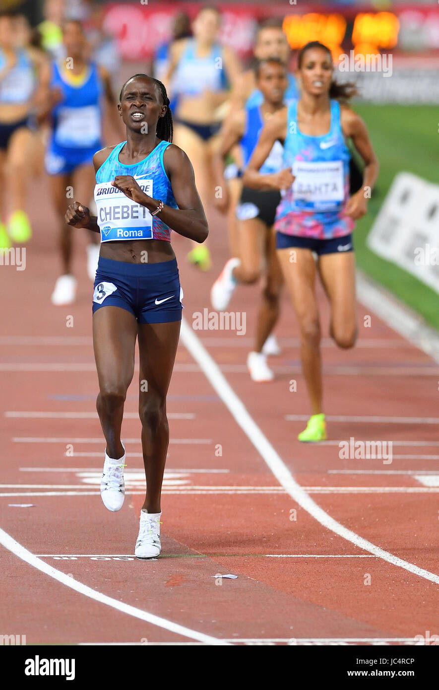 Womens 1500m at the Golden Gala,IAAF Diamond League,Olympic Stadium ...