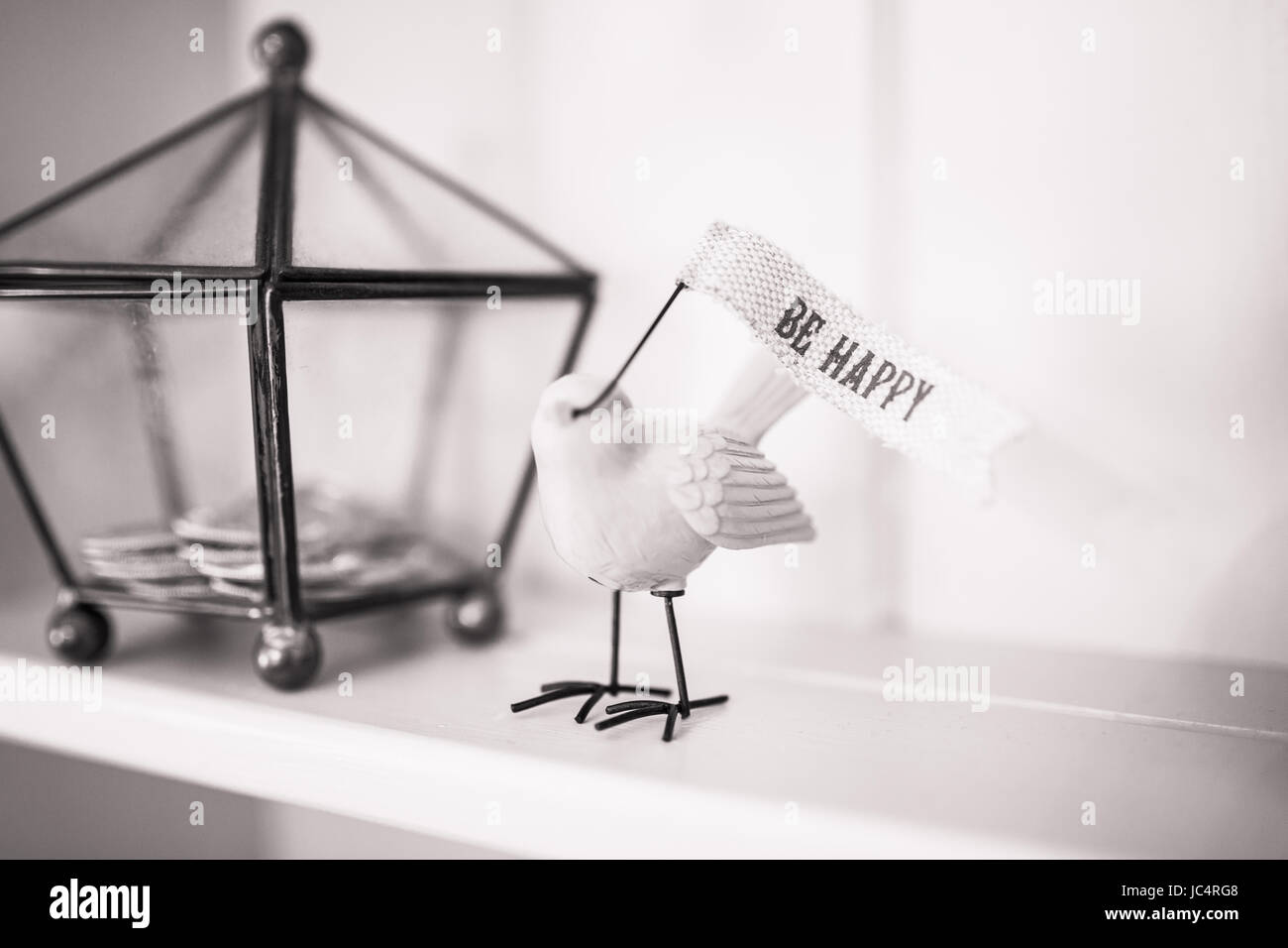 Happy bird hi-res stock photography and images - Alamy