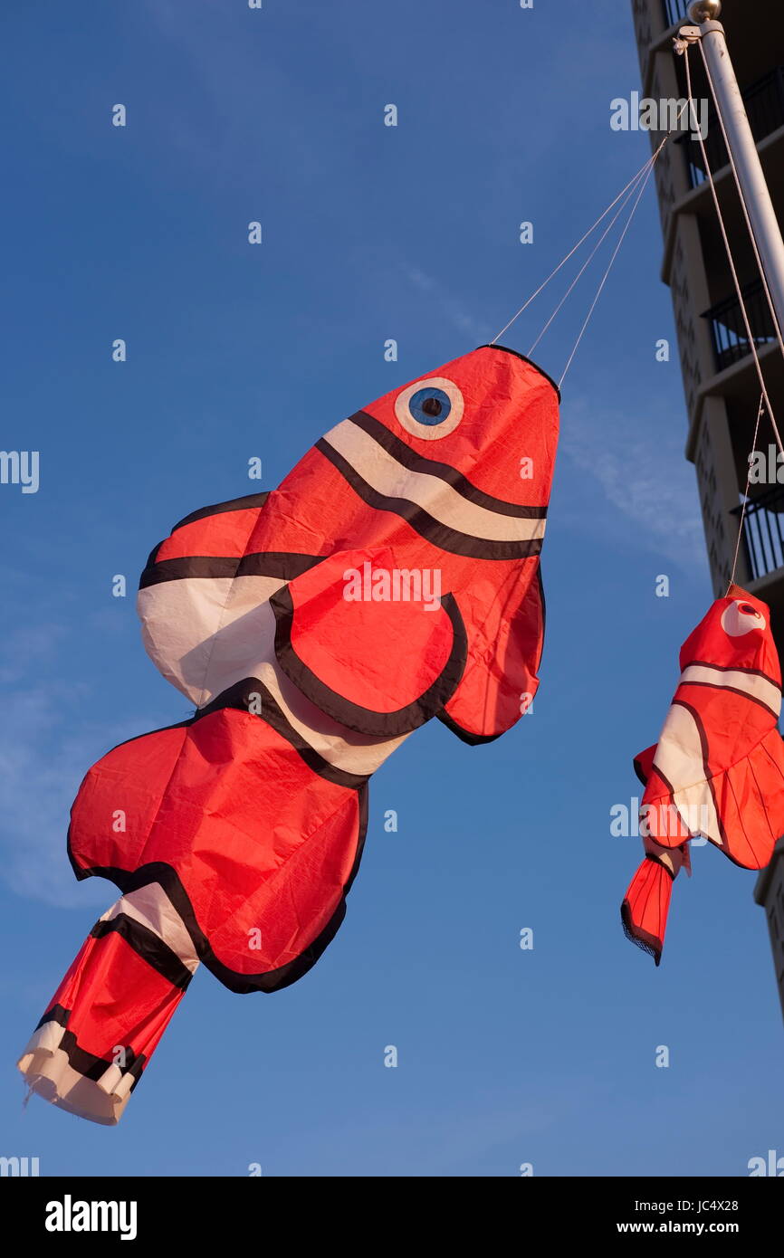 Koi Wind Sock Stock Photo - Alamy