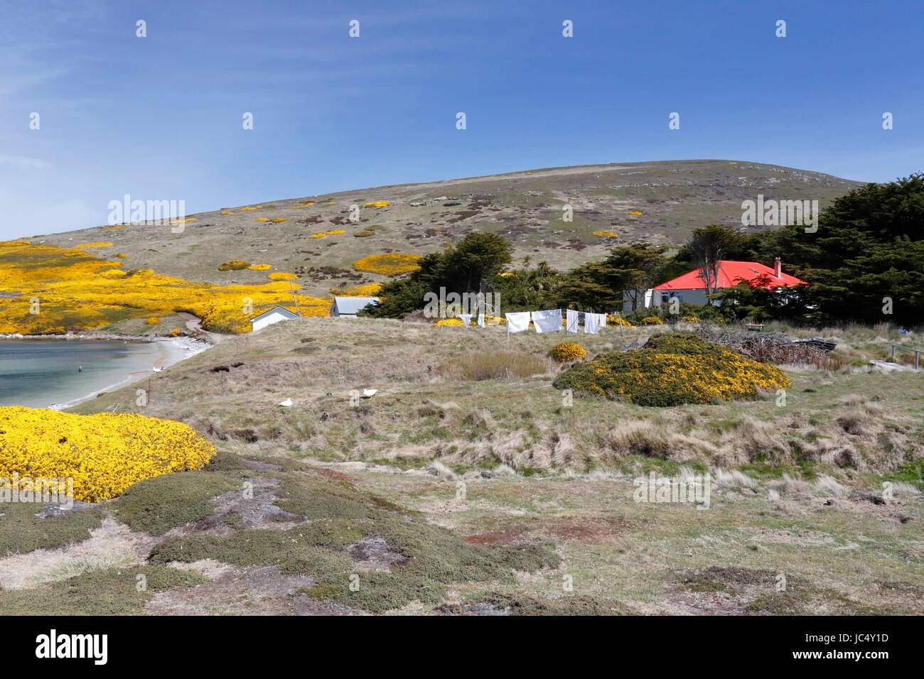 view of bay at Carcass Island, Falkland Islands Stock Photo - Alamy