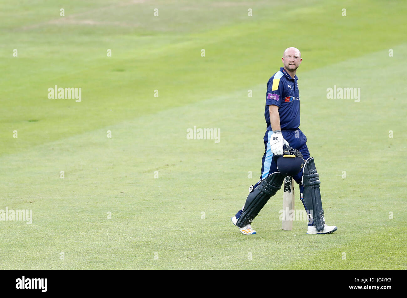 Yorkshires adam lyth leaves field hi-res stock photography and images ...