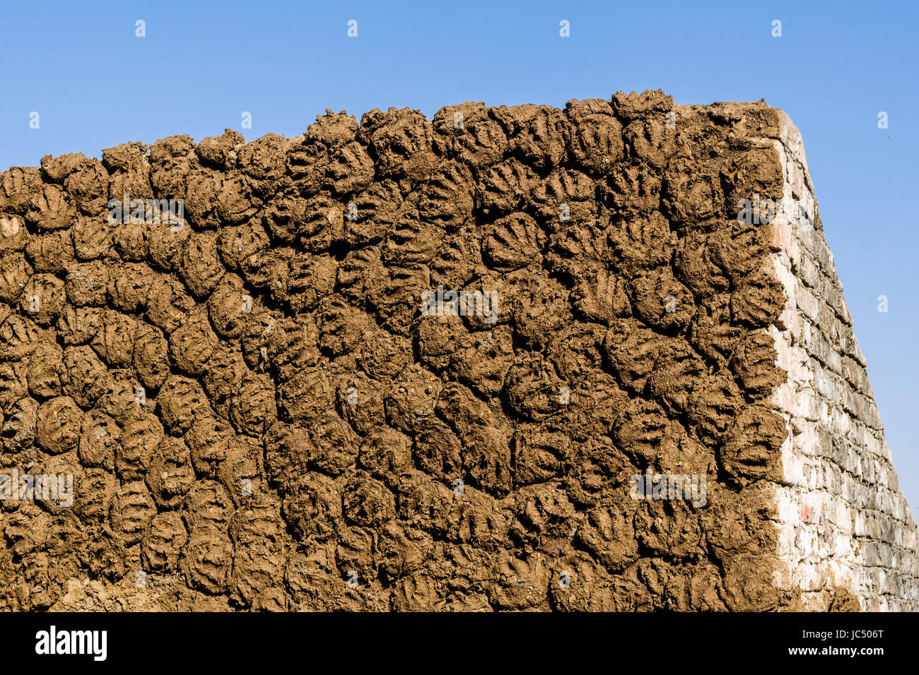 Cow dung is put on a house wall to dry, used as fuel, in the narrow ...