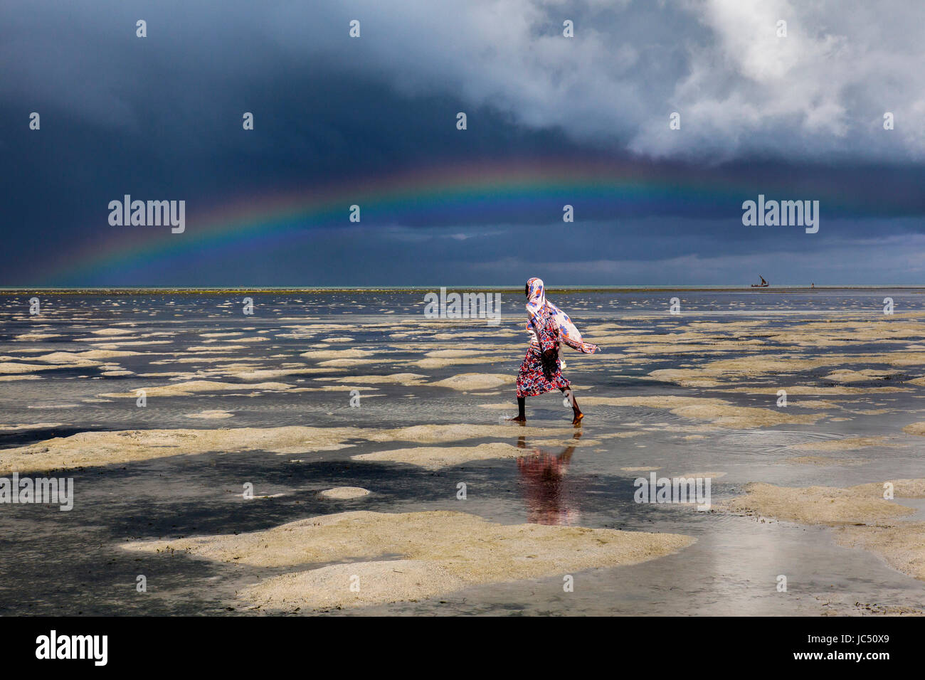Under the arc of a rainbow, a woman heads out to gather shellfish at ...