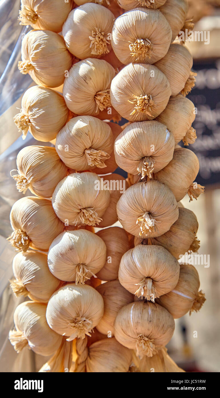 garlic background. plait of garlic bulbs Stock Photo - Alamy