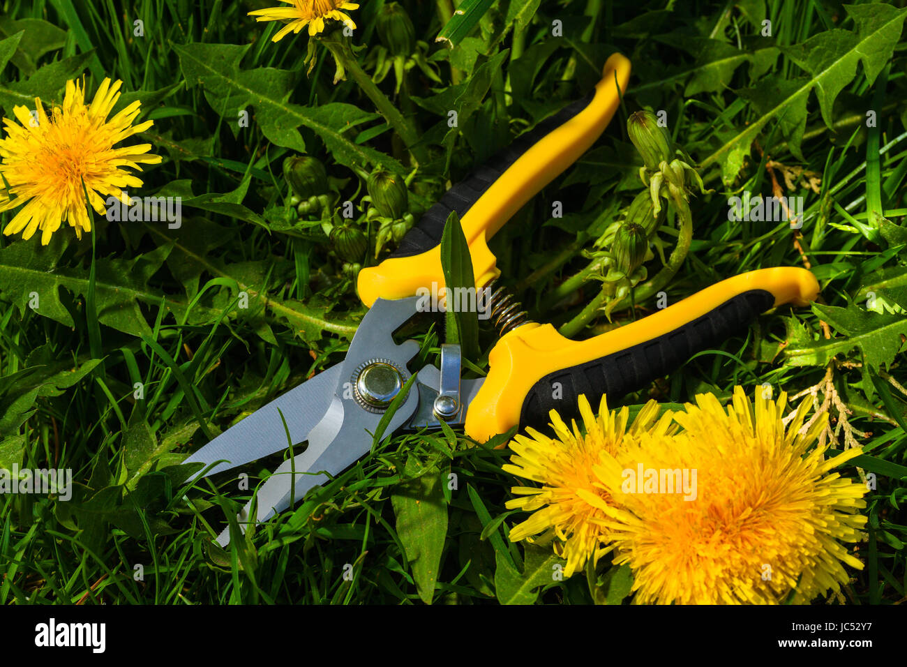 Spring loaded handle hi-res stock photography and images - Alamy