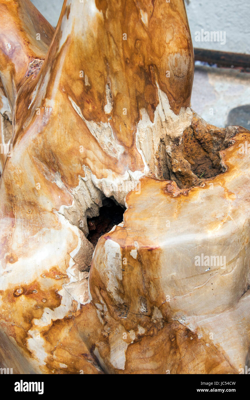 Wood fissures hi-res stock photography and images - Alamy