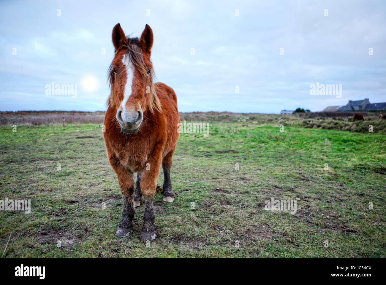 Porspoder hi-res stock photography and images - Alamy