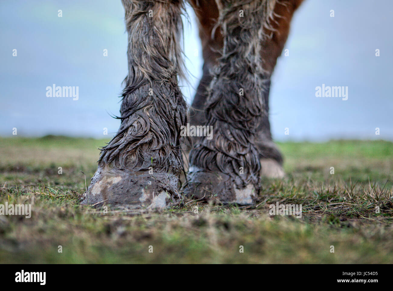 Porspoder hi-res stock photography and images - Alamy