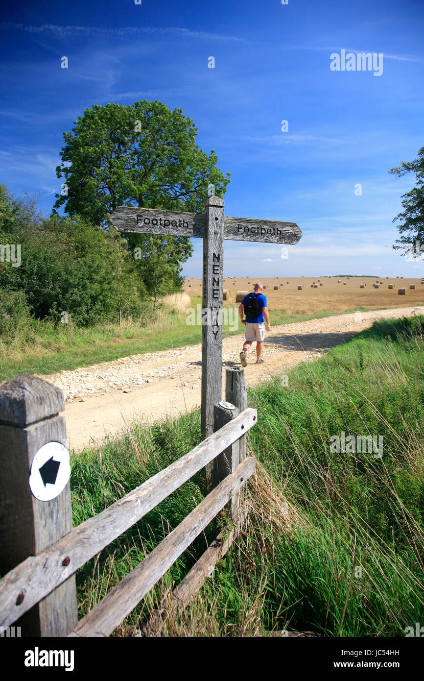 Walker on the Nene Way footpath near Fotheringhay village ...