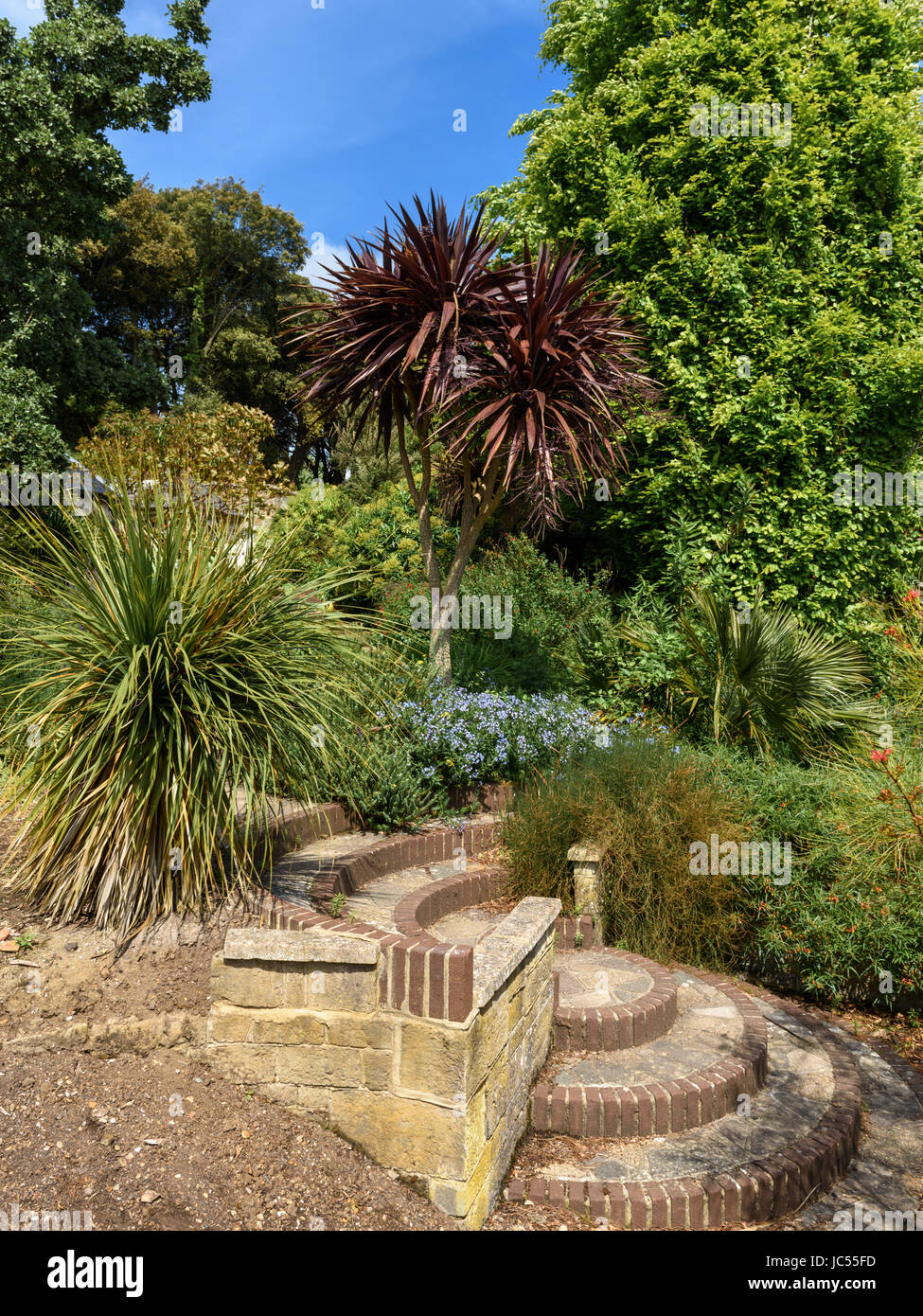 Cabbage tree hi-res stock photography and images - Alamy