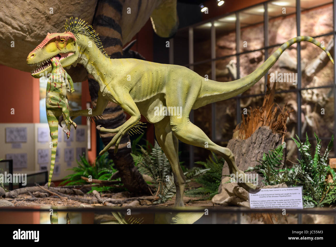 Eotyrannus
