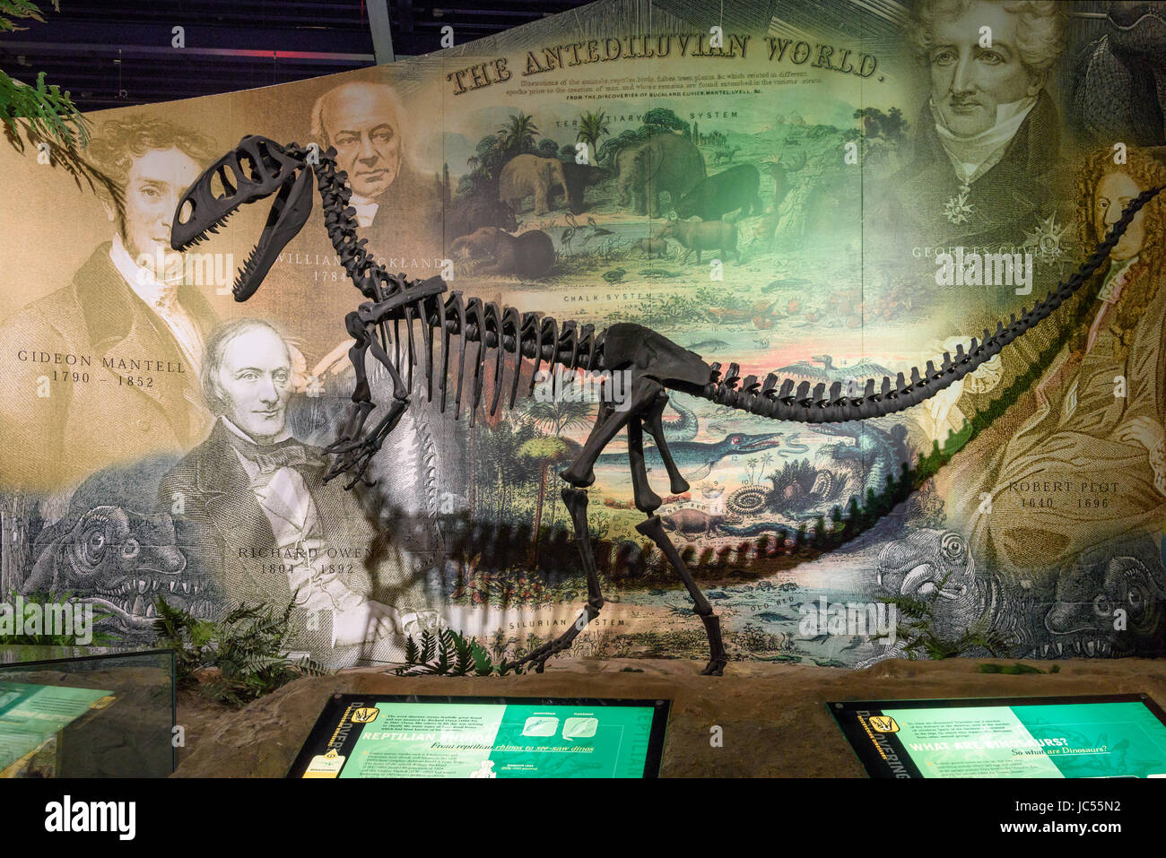 Dinosaur Isle Museum, Sandown, Isle of Wight, UK Stock Photo - Alamy