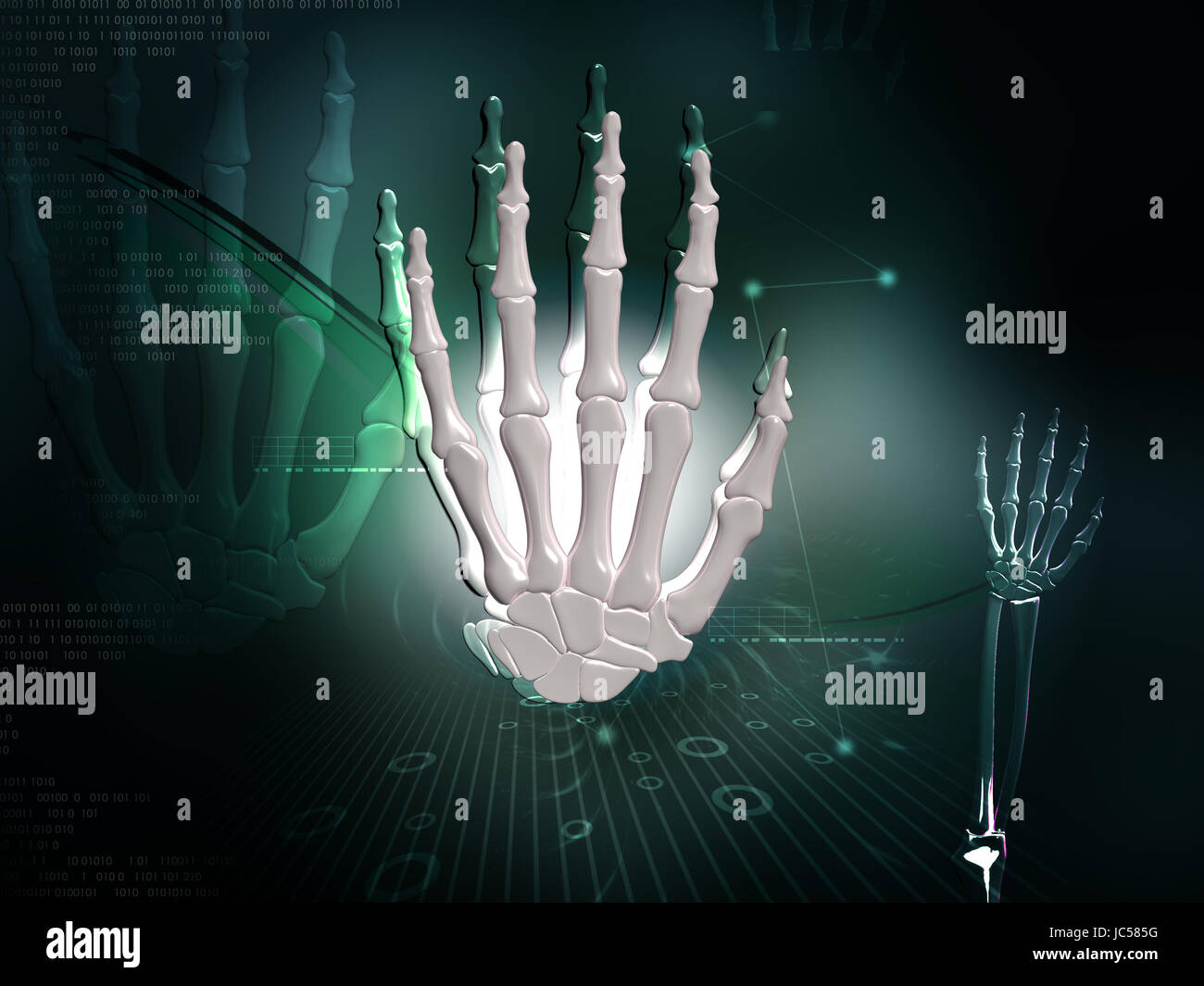 Computer Graphics Bone High Resolution Stock Photography and Images - Alamy