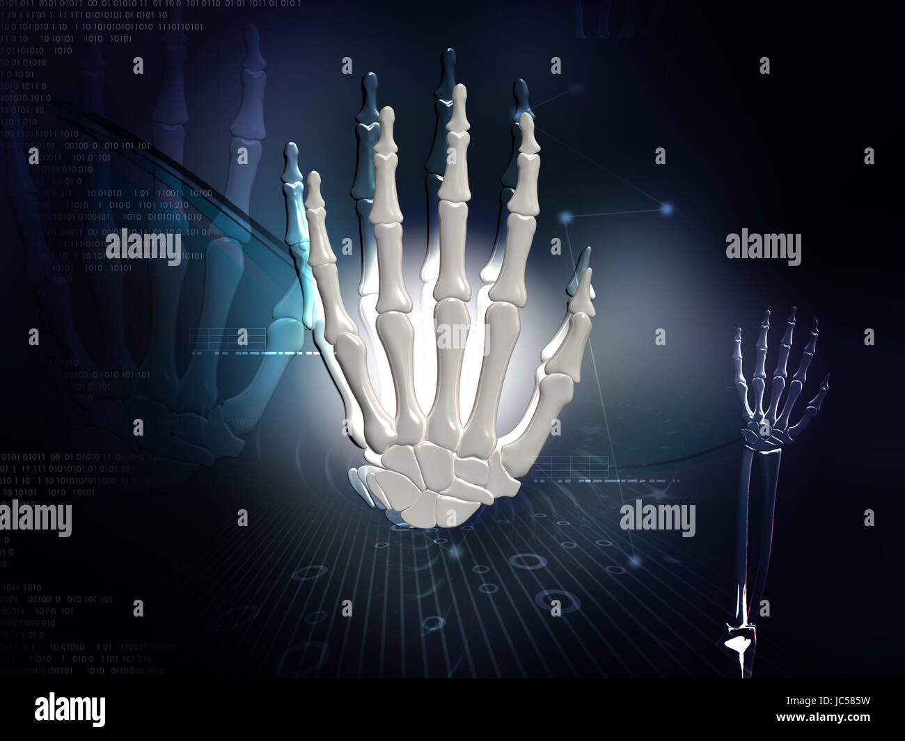 Digital Medical Illustration Human Wrist High Resolution Stock ...