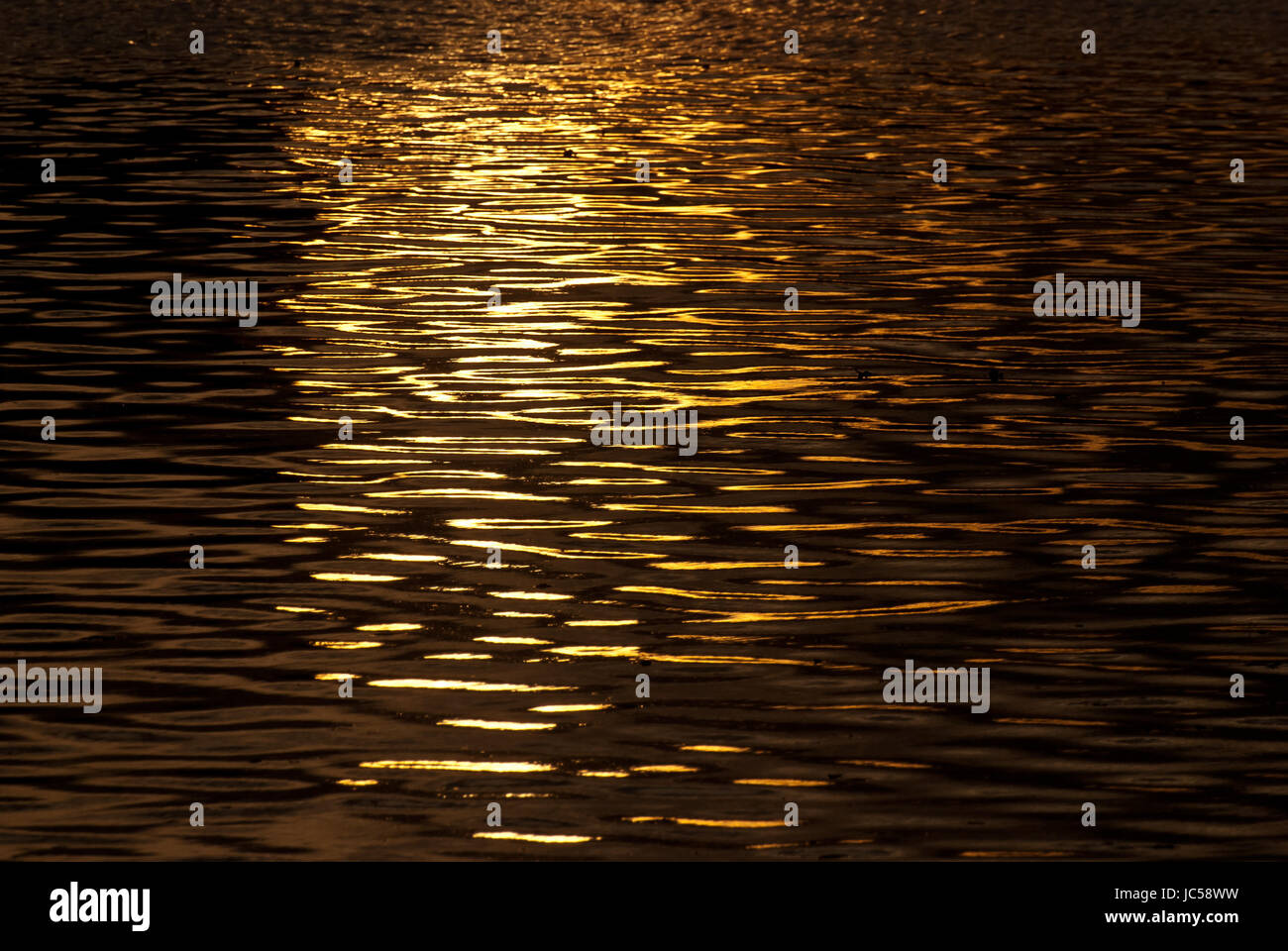 Light shimmering lake water shimmer hi-res stock photography and images ...