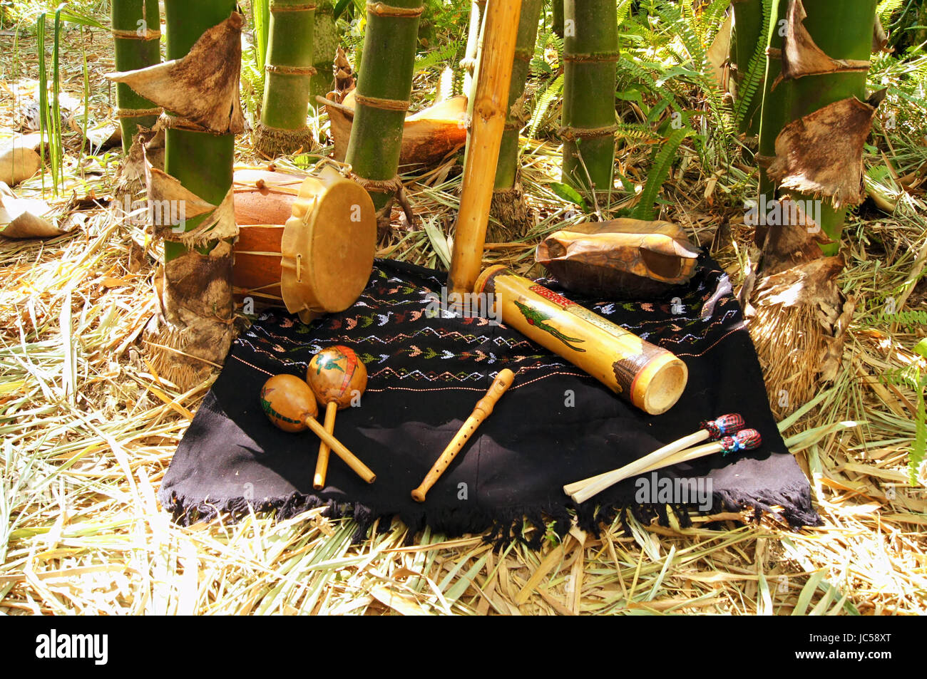 A collection of indigenous mayan musical instruments at the base of ...