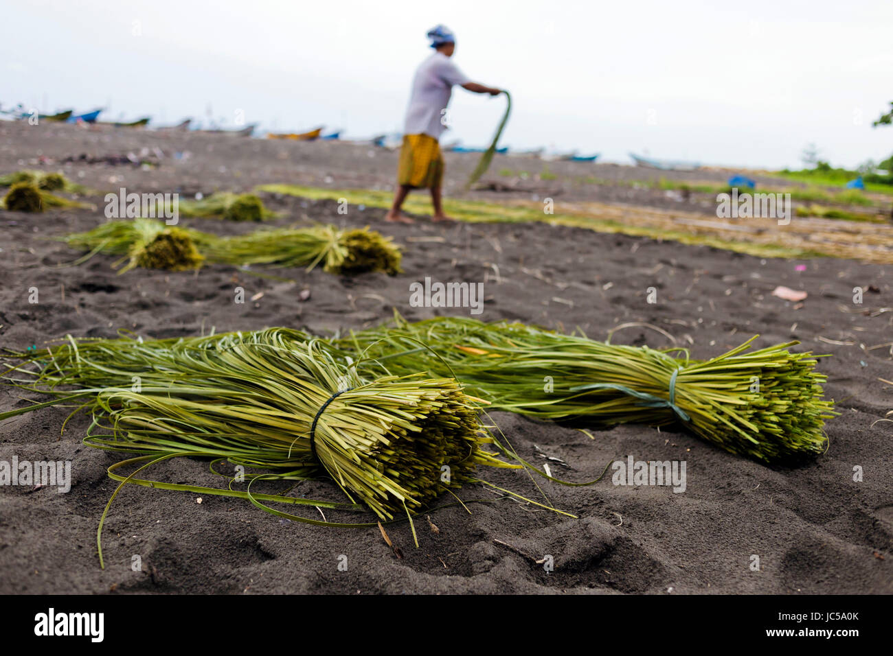 Person placing bundles of grass on sandy beach Stock Photo - Alamy