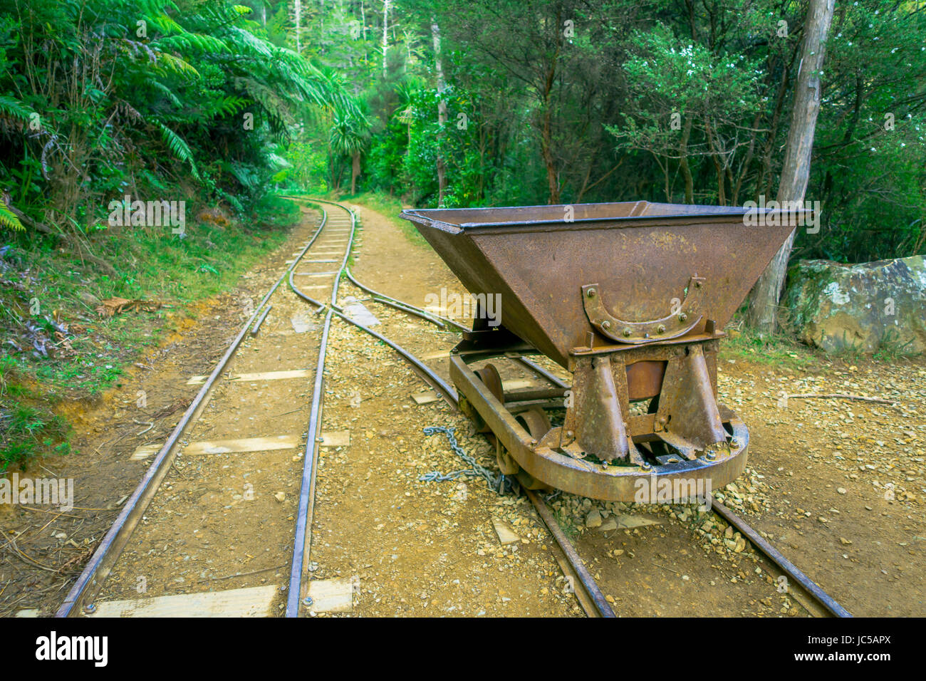 Rusting remains of gold extraction trolleys with plants growing through ...