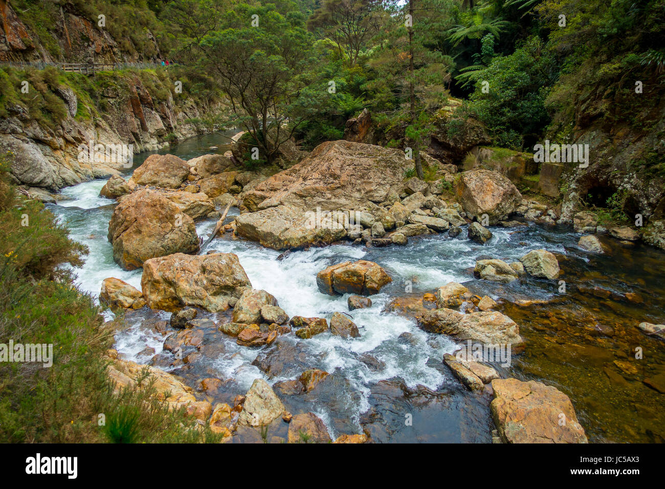 Calm river runs through the forest at Dickey Flat Campsite Karangahake ...