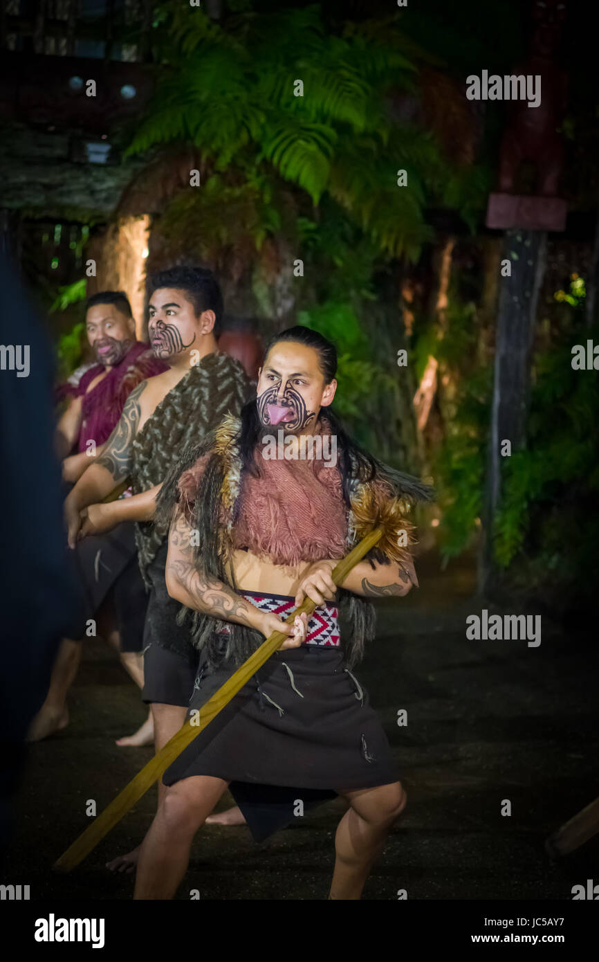 NORTH ISLAND, NEW ZEALAND- MAY 17, 2017: Maori men screaming with ...